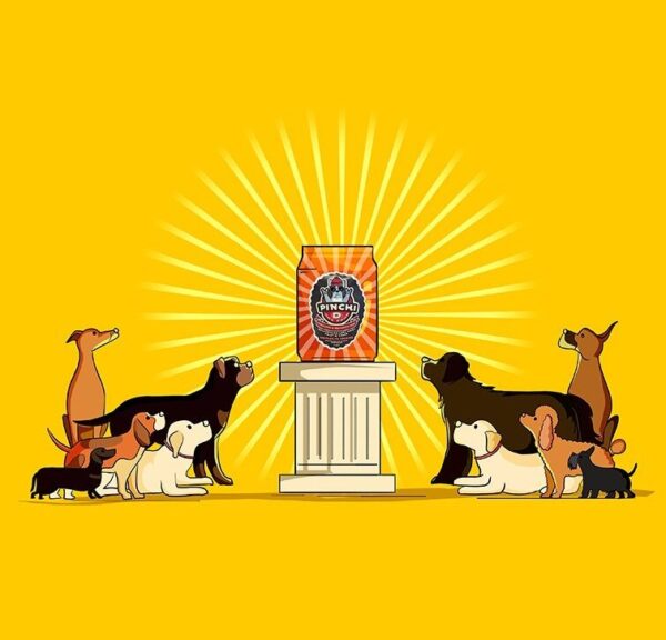 Dehydrated Dog Food Online | Dog Food Supplier | Pinchi D