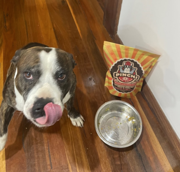 Pinchi D Dog Food is a complete and balanced meal for dogs